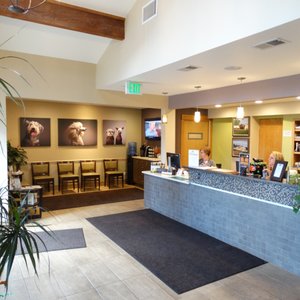 CAMBRIDGE ANIMAL HOSPITAL - Updated October 2025 - 47 Reviews - 14986 ...