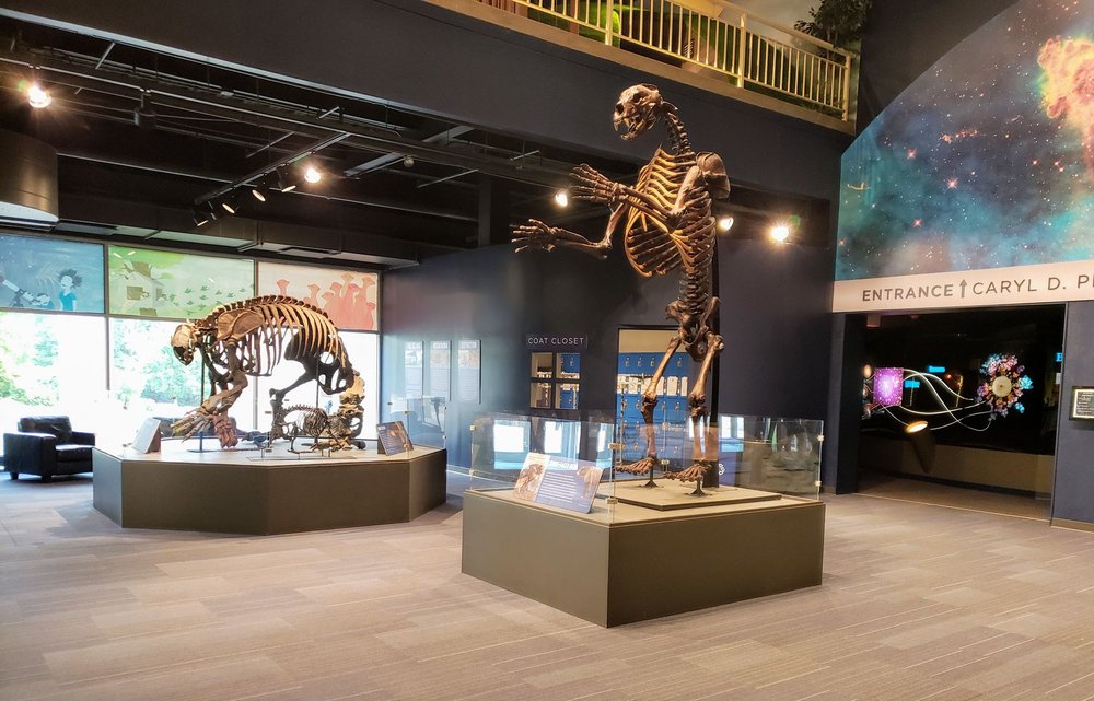 BOONSHOFT MUSEUM OF DISCOVERY - 118 Photos & 58 Reviews - 2600 Deweese ...