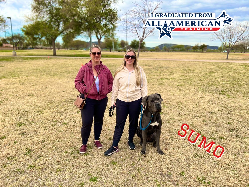 ALL-AMERICAN K-9 DOG TRAINING - 378 Photos & 264 Reviews - Phoenix ...