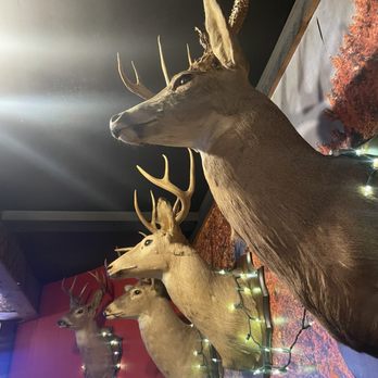 CATTLE RANCH - Updated December 2025 - 101 Photos & 160 Reviews - 2700 ...