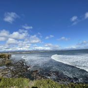 LIGHTHOUSE FIELD STATE BEACH - 490 Photos & 139 Reviews - 701 W Cliff ...
