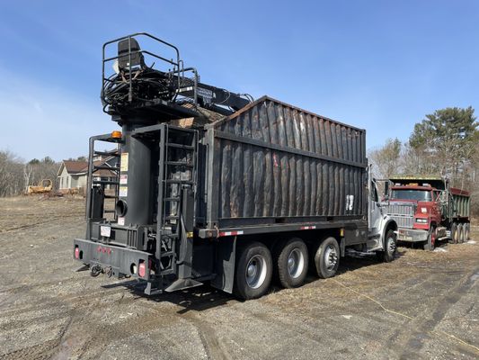 BALDI TREE - Updated December 2025 - 64 Photos - 403 Federal Furnace Rd ...