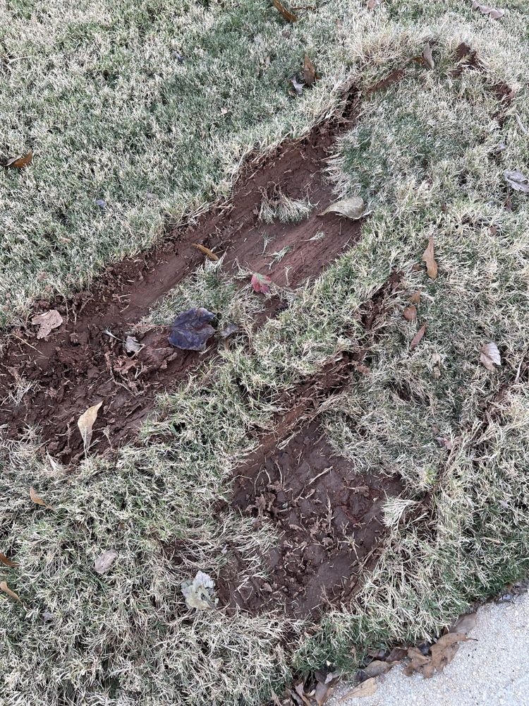 RICARDOS TREE SERVICE - Updated May 2026 - 27 Photos - Peachtree City ...