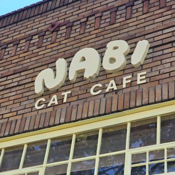NABI CAT CAFE - Updated July 2025 - 327 Photos & 83 Reviews - 2255 The ...