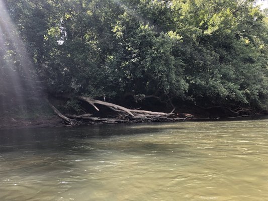 RIVER RATZ TUBING & KAYAKING - Rafting/Kayaking - 105 E Callahan St ...