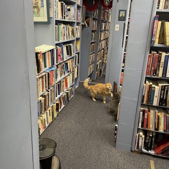 BOOKHAVEN - Updated December 2025 - 26 Photos & 73 Reviews - 2202 ...