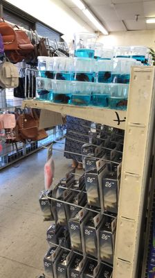 SUPER 99 CENTS STORE - Updated August 2025 - 2250 E Tropicana Ave, Las ...