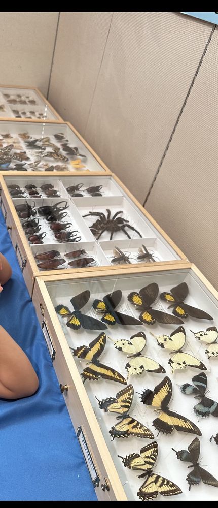 INSECTROPOLIS - Updated November 2024 - 61 Photos & 24 Reviews - 1761 ...