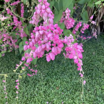 ADORA INN - Updated July 2025 - 45 Photos & 33 Reviews - 610 N Tremain ...