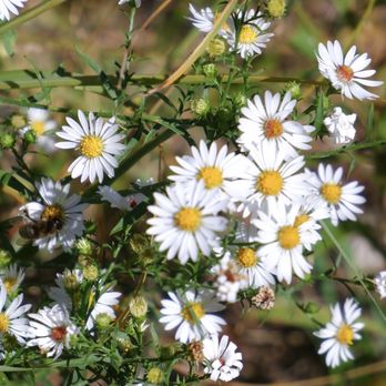 WEST RIDGE NATURE PARK - Updated September 2025 - 208 Photos & 19 ...