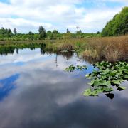 CLARK LAKE PARK - 69 Photos & 30 Reviews - Lakes - 12655-12749 SE 240th ...