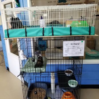 PRICELESS PET RESCUE - CHINO HILLS - Updated January 2026 - 206 Photos ...