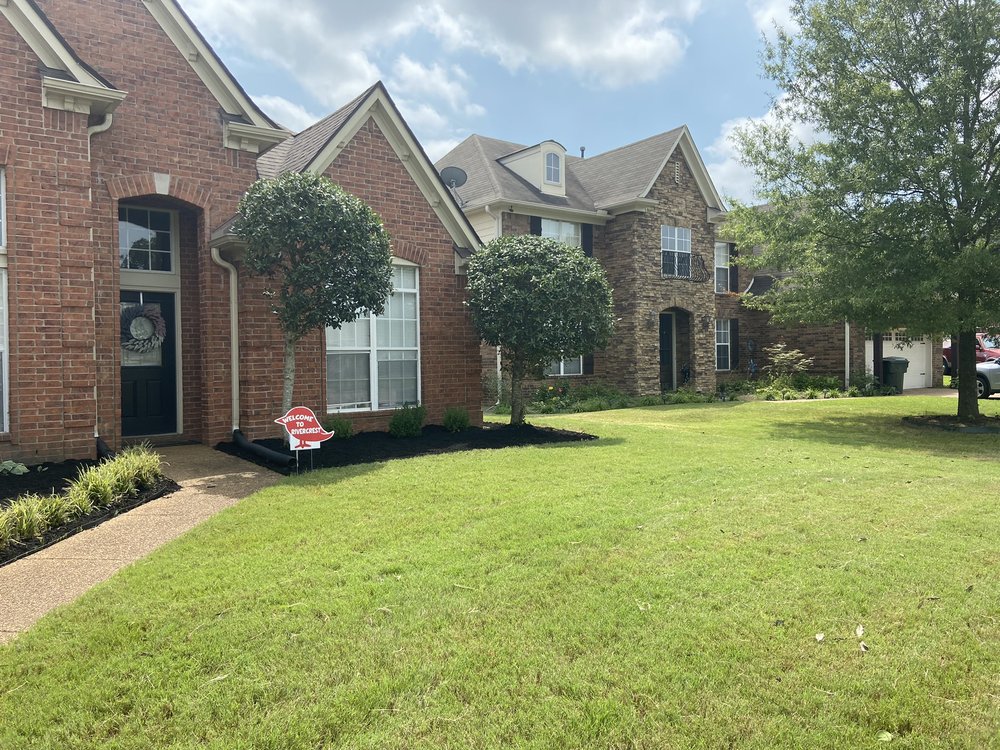 CASTRO LANDSCAPING - Updated February 2025 - Memphis, Tennessee - Lawn ...
