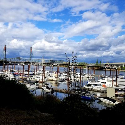 RIVERPLACE MARINA - Updated July 2024 - 194 Photos & 16 Reviews - 0315 ...