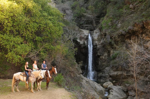 CIRCLE BAR B STABLES - Updated September 2025 - 711 Photos & 484 ...