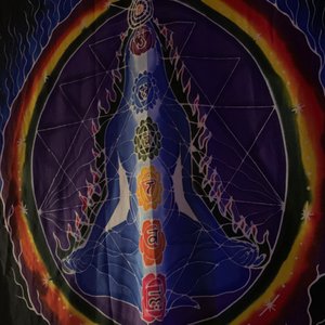 BAR WATSON - Updated September 2024 - 17 Photos - 6925 Shallowford Rd ...