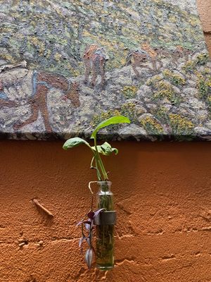 THE FLY TRAP - 707 Photos & 1093 Reviews - 606 Folsom St, San Francisco ...