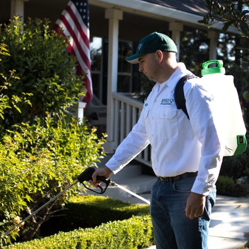 BYRD PEST CONTROL - Updated November 2025 - 15 Photos & 49 Reviews ...