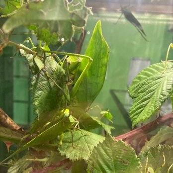 VICTORIA BUG ZOO - Updated October 2025 - 129 Photos & 122 Reviews ...