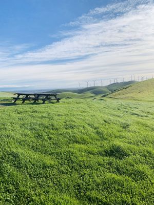 VASCO CAVES REGIONAL PRESERVE - 20 Photos - 19450 Marsh Creek Rd ...