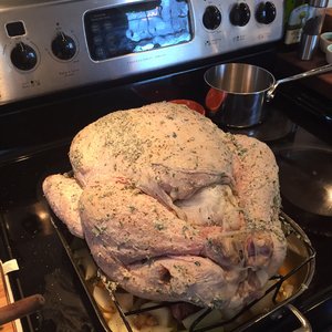 GOZZI’S TURKEY FARMS - 52 Photos & 23 Reviews - 2443 Boston Post Rd ...