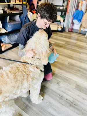 FLOOF PET GROOMING - Updated December 2025 - 139 Photos & 98 Reviews ...