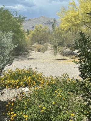 RILLITO RIVER PARK - Updated December 2025 - 42 Photos & 38 Reviews ...