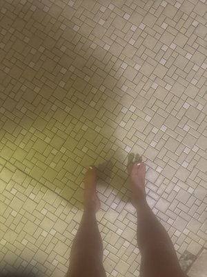 PRIDE’S CORNER DRIVE-IN THEATRE - Updated January 2026 - 23 Photos & 22 ...