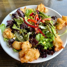 TWENTY TAP - 530 Photos & 624 Reviews - 5406 N College Ave ...