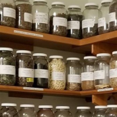 EAST WEST COLLEGE OF NATURAL MEDICINE - Updated October 2025 - 12 Reviews - 3808 N Tamiami Trl ...