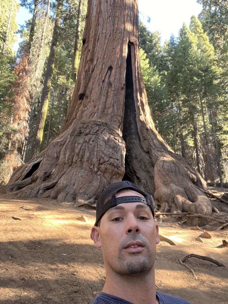 INDEPENDENT TREE CARE - Updated December 2025 - Edgewater, Maryland ...