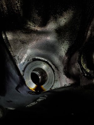 SPEEDEE-MIDAS - Updated October 2025 - 12 Photos & 66 Reviews - 1496 ...