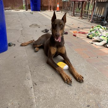 DR. BUTCHKO - Updated May 2024 - 42 Photos & 69 Reviews - 5448 Mission ...