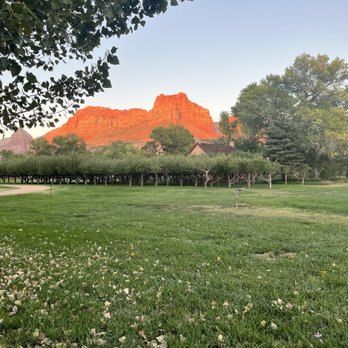 WILD THYME CAFE - Updated May 2025 - 111 Photos & 115 Reviews - 2501 ...