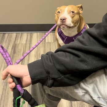 WOODHAVEN ANIMAL HOSPITAL - Updated December 2025 - 30 Photos & 28 ...