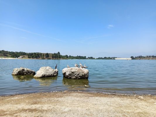 FRANK G. BONELLI REGIONAL PARK - 921 Photos & 280 Reviews - Parks - 120 ...