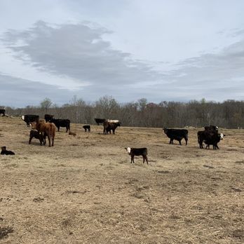 THE MARRIOTT RANCH BED AND BREAKFAST - Updated December 2025 - 112 ...