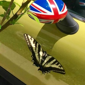 MINI OF UNIVERSAL CITY - Updated September 2025 - 174 Photos & 838 ...