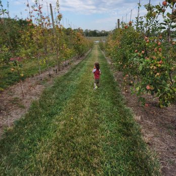 FUN FARM PUMPKIN PATCH - Updated December 2025 - 108 Photos & 47 ...