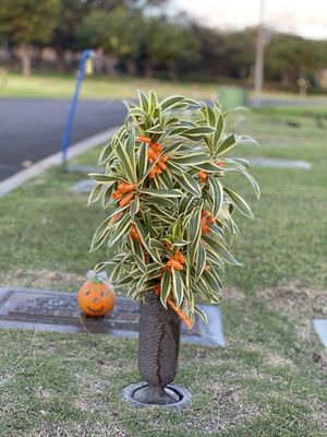 DIAMOND HEAD MEMORIAL PARK - Updated October 2025 - 159 Photos & 24 ...