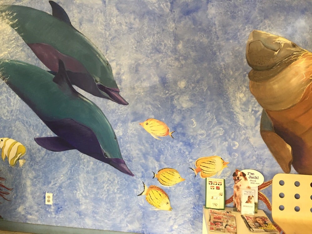 RAGGED MOUNTAIN ANIMAL HOSPITAL - Updated December 2025 - 19 Reviews ...