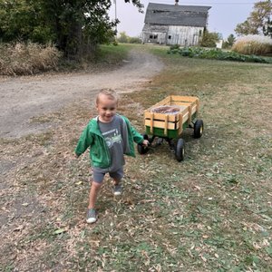 JIM’S APPLE FARM - Updated January 2025 - 79 Photos & 83 Reviews ...