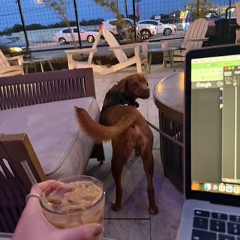 FREDDO ATX - Updated August 2025 - 257 Photos & 139 Reviews - 2336 S ...