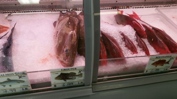 D’OCEAN FISH MARKET - 41 Photos & 31 Reviews - Seafood Markets - 7803 E ...
