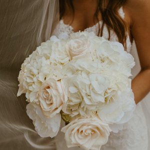 INLAND FLOWER MARKET - 152 Photos & 64 Reviews - Florists - 759 S Allen ...