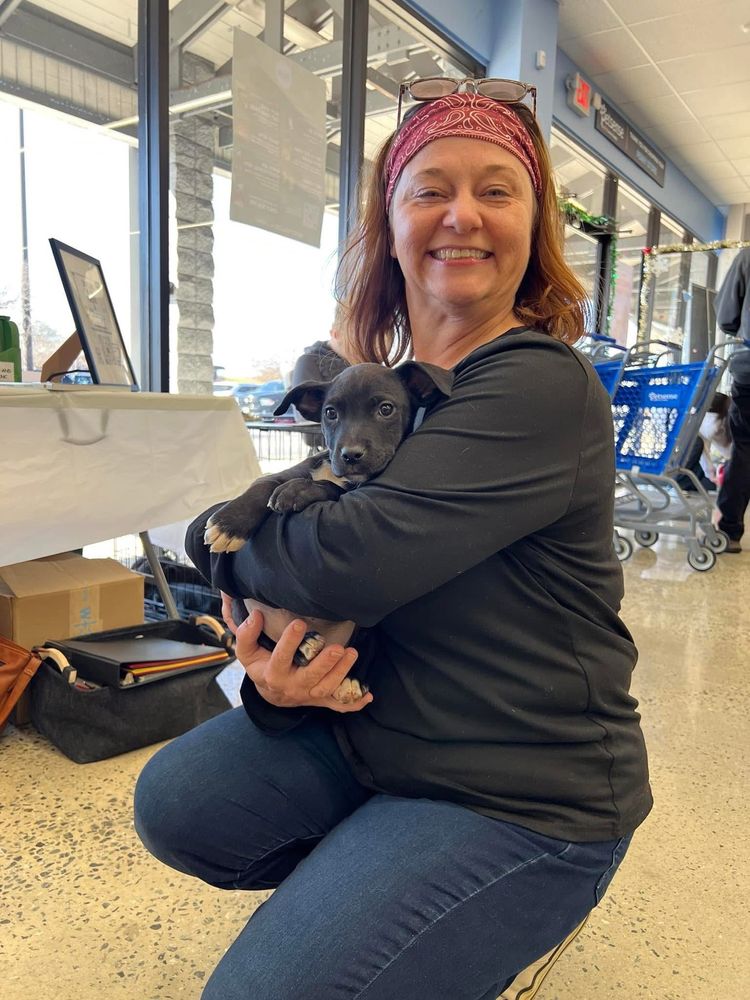 THE BLACK DOG RESCUE AND RETIREMENT RANCH - Updated July 2025 - 12 ...