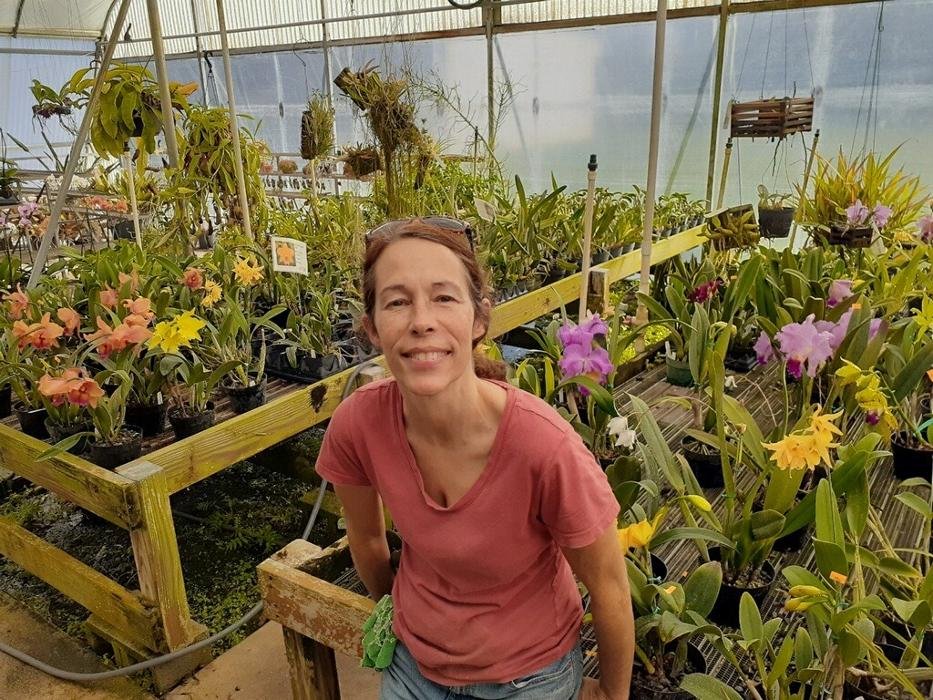 ODOM’S ORCHIDS - Updated November 2025 - 92 Photos & 17 Reviews - 1611 ...