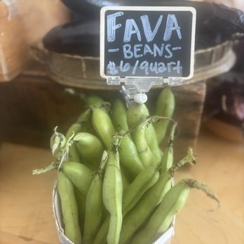 FARM CLUB - Updated December 2025 - 414 Photos & 173 Reviews - 10051 S ...