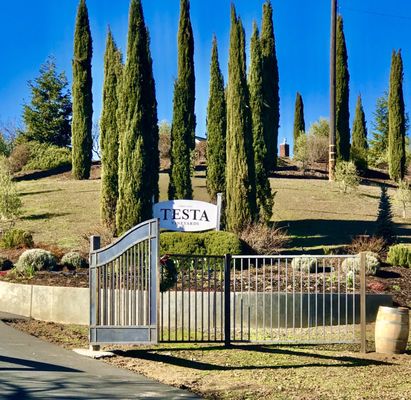 TESTA VINEYARDS - Updated December 2024 - 113 Photos & 49 Reviews ...