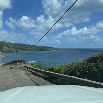 ONO ORGANIC FARMS - Updated August 2024 - 89 Photos & 47 Reviews - 149 ...